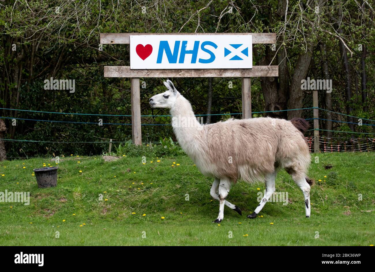 Nhs borders hi-res stock photography and images - Alamy