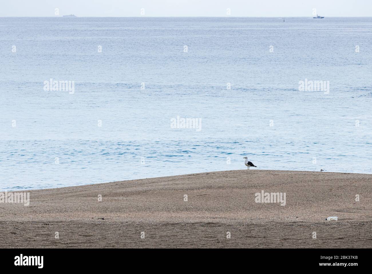 Empty beaches in the tourist resort areas of Costa Adeje, Tenerife ...
