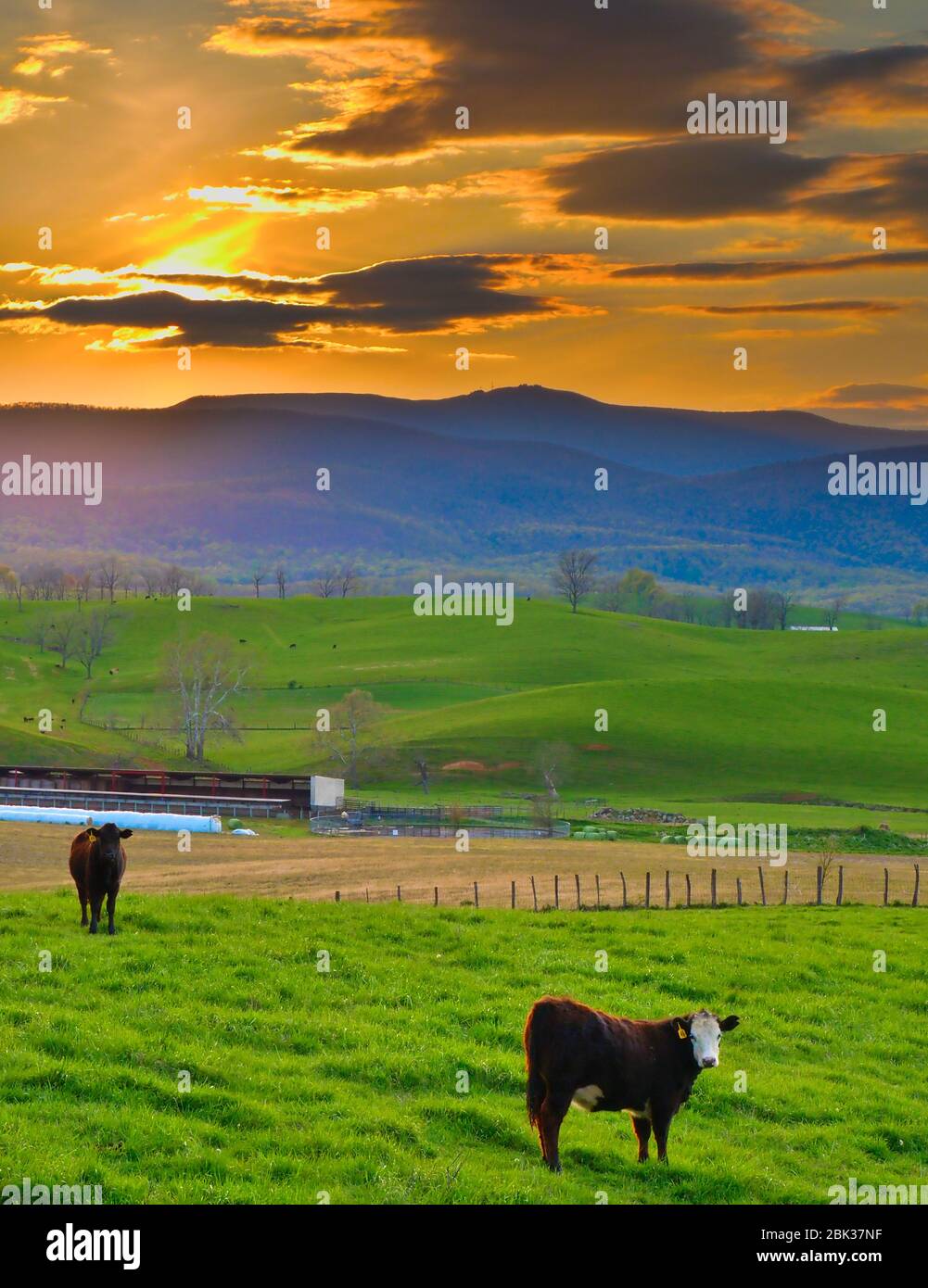 Farm in Swoope, Shenandoah, Valley, Virginia, USA Stock Photo - Alamy