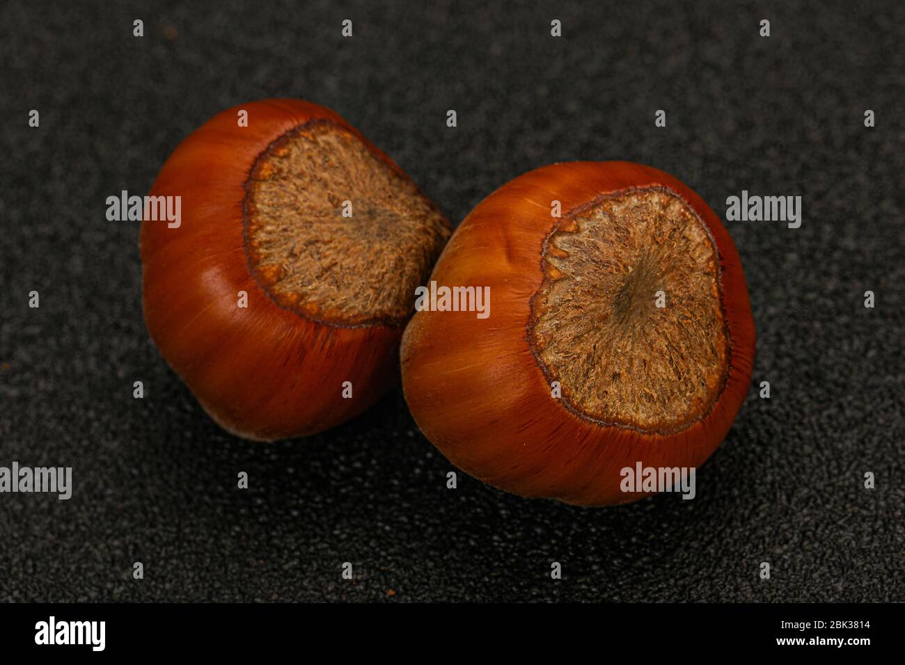 Two ripe tasty Whole hazelnut (hazel Stock Photo - Alamy