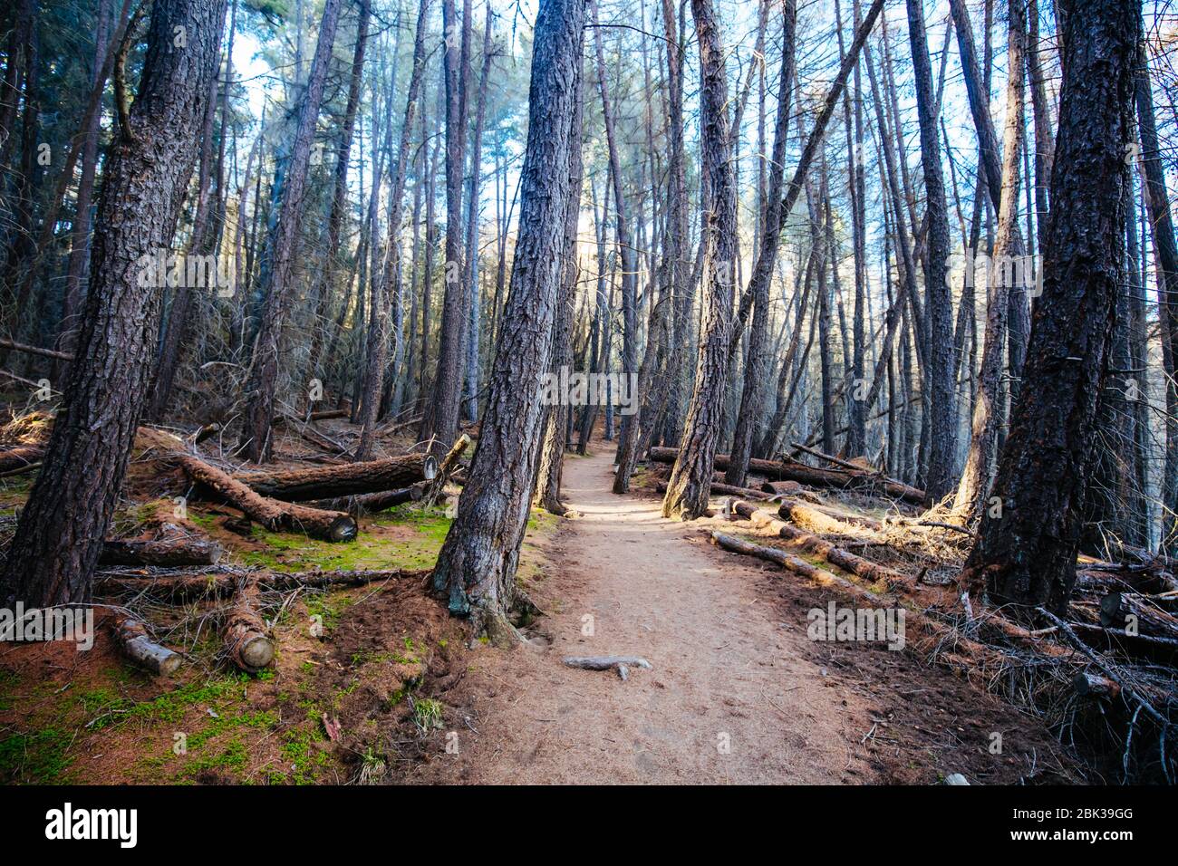 Mt john observatory view hi-res stock photography and images - Alamy