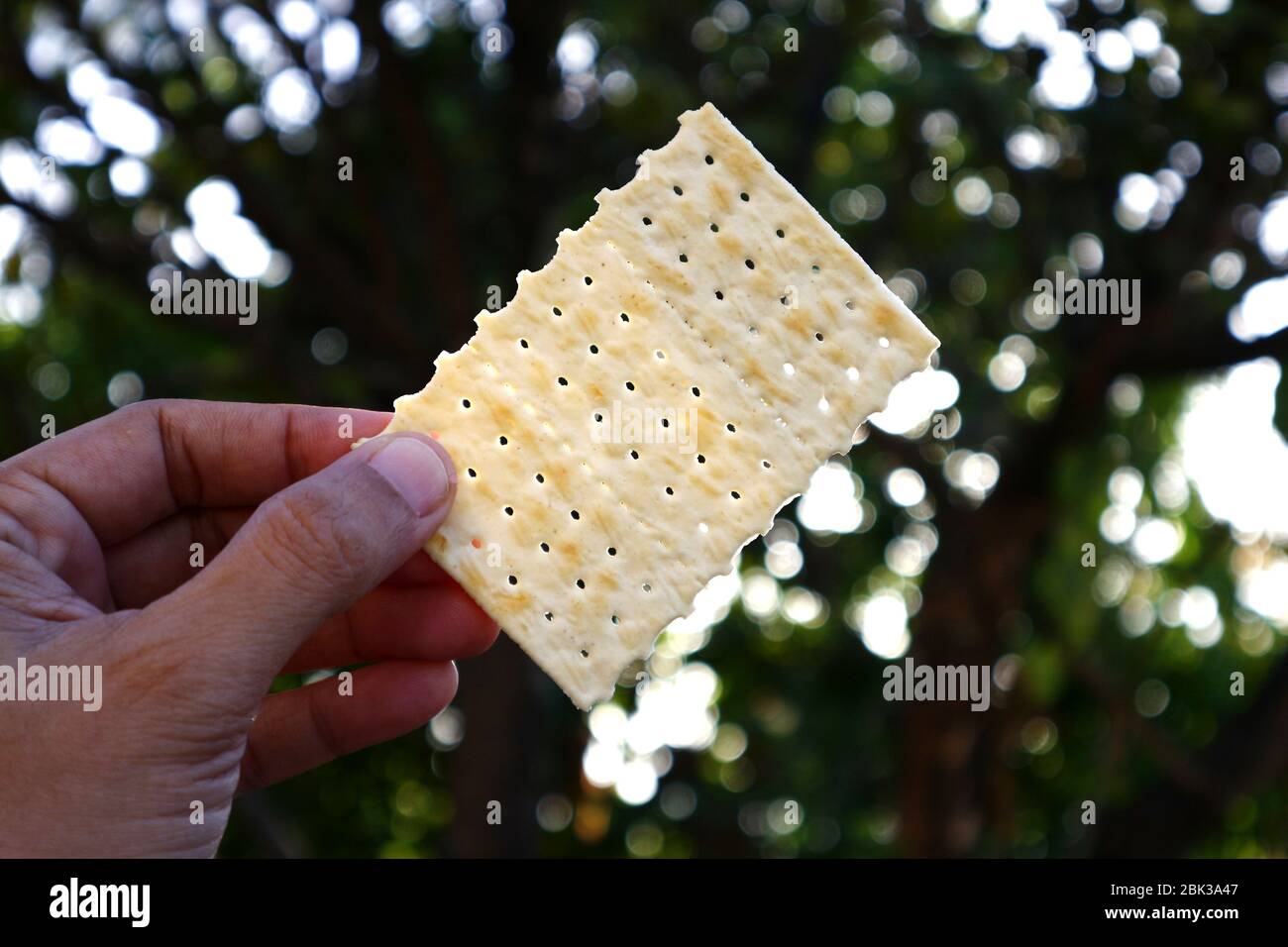 Photo of a hand holding a soda cracker Stock Photo - Alamy