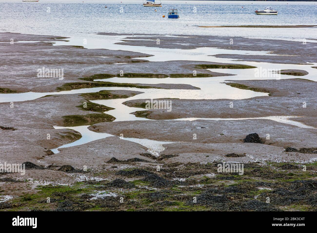 Ruvulets hi-res stock photography and images - Alamy