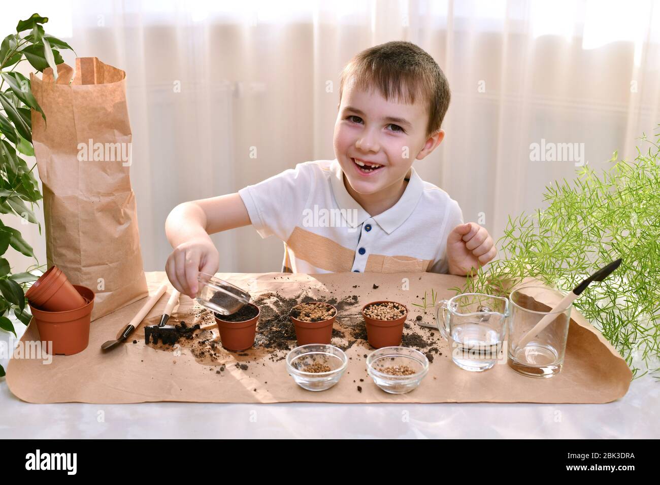 A child is busy planting seeds in pots. A boy openly smiles cheerfully ...