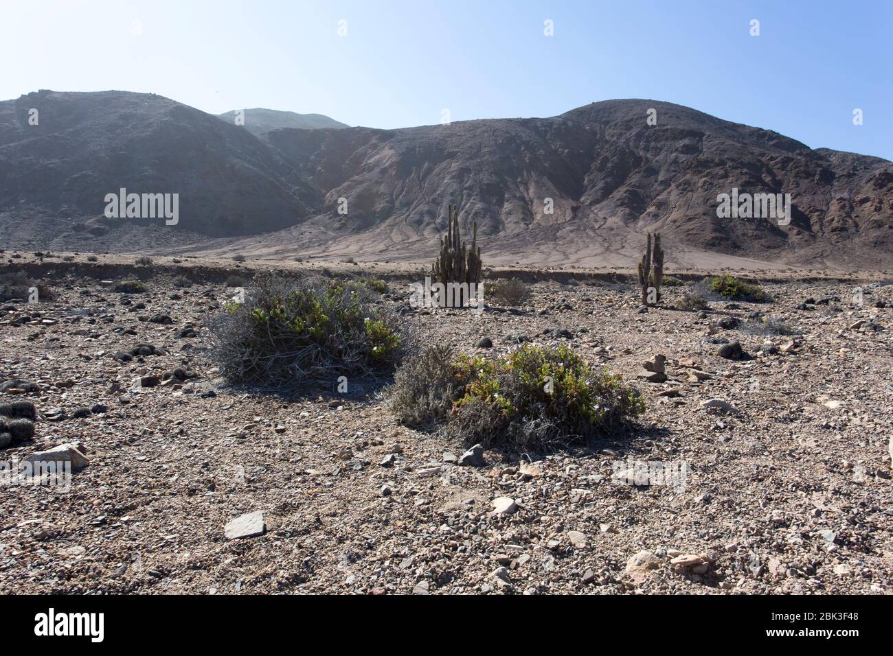 Parque nacional pan de azúcar hi-res stock photography and images - Alamy