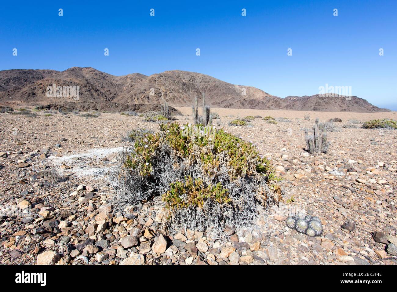 Parque nacional pan de azúcar hi-res stock photography and images - Alamy