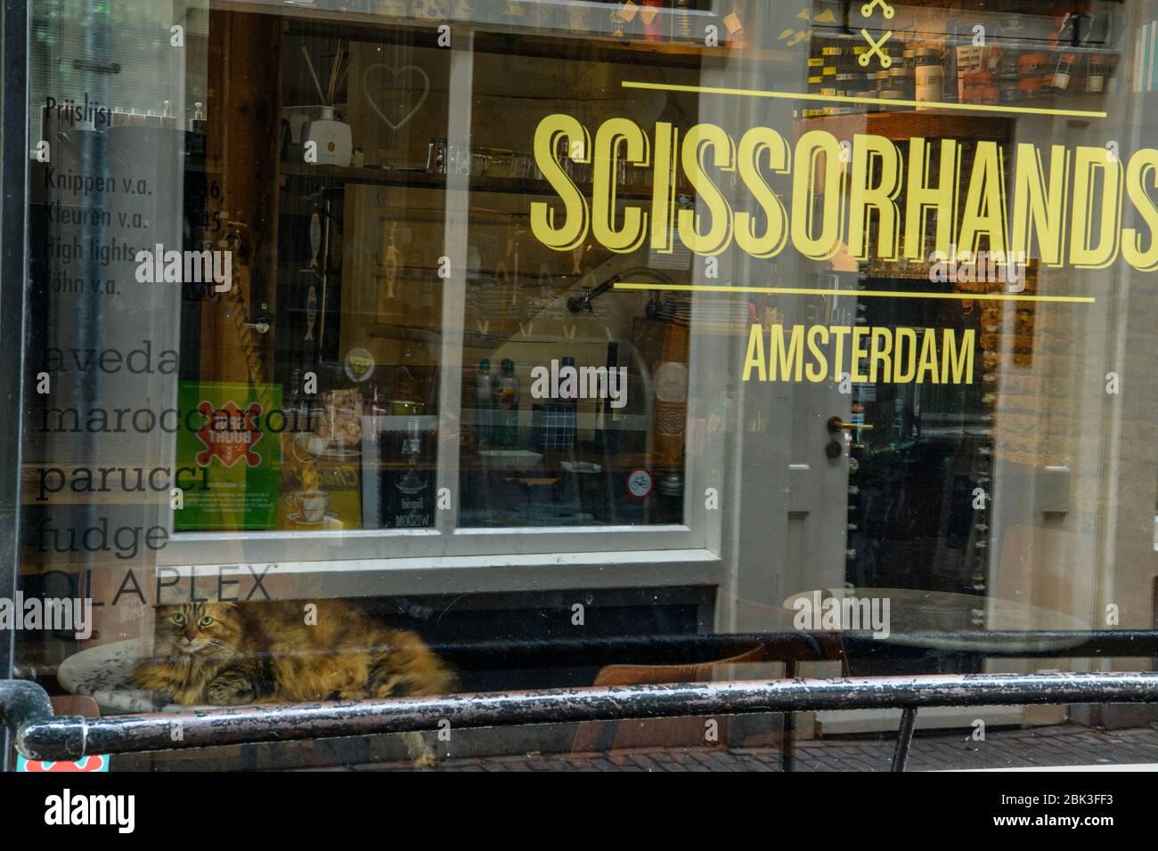 Scissorhand storefront with cat, Amsterdam, North Holland, Netherlands ...