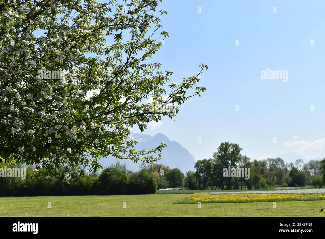Landscape in Liechtenstein Stock Photo - Alamy
