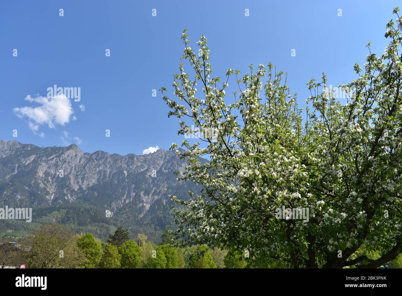 Landscape in Liechtenstein Stock Photo - Alamy