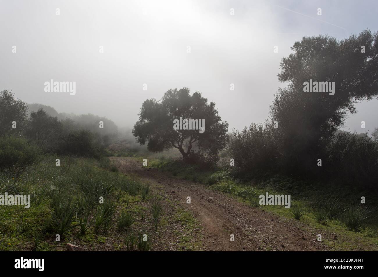 A beautiful country landscape in Sardinia, Italy Stock Photo - Alamy