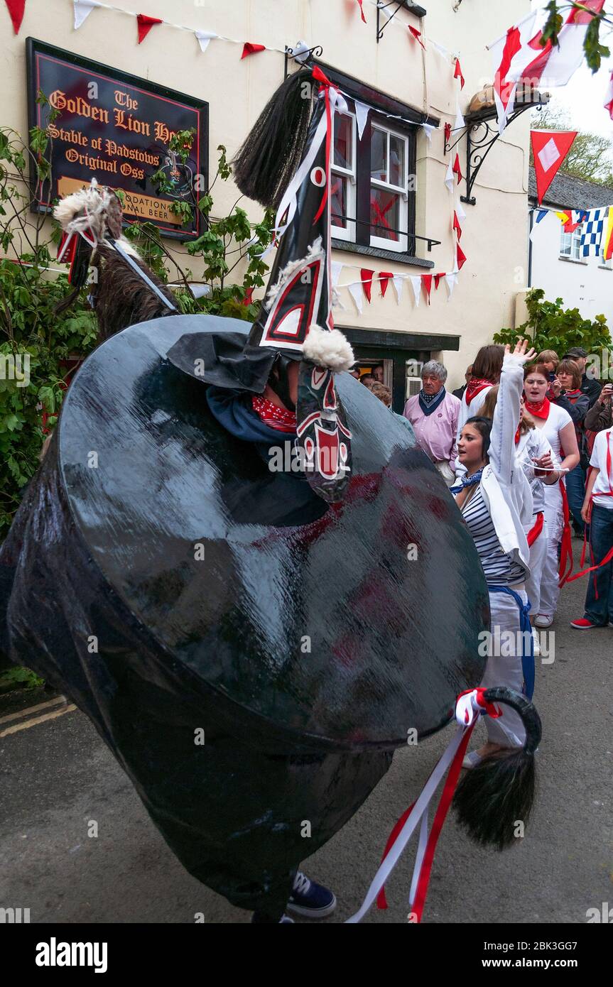 traditional folk custom festival, obby oss day, padstow, cornwall ...