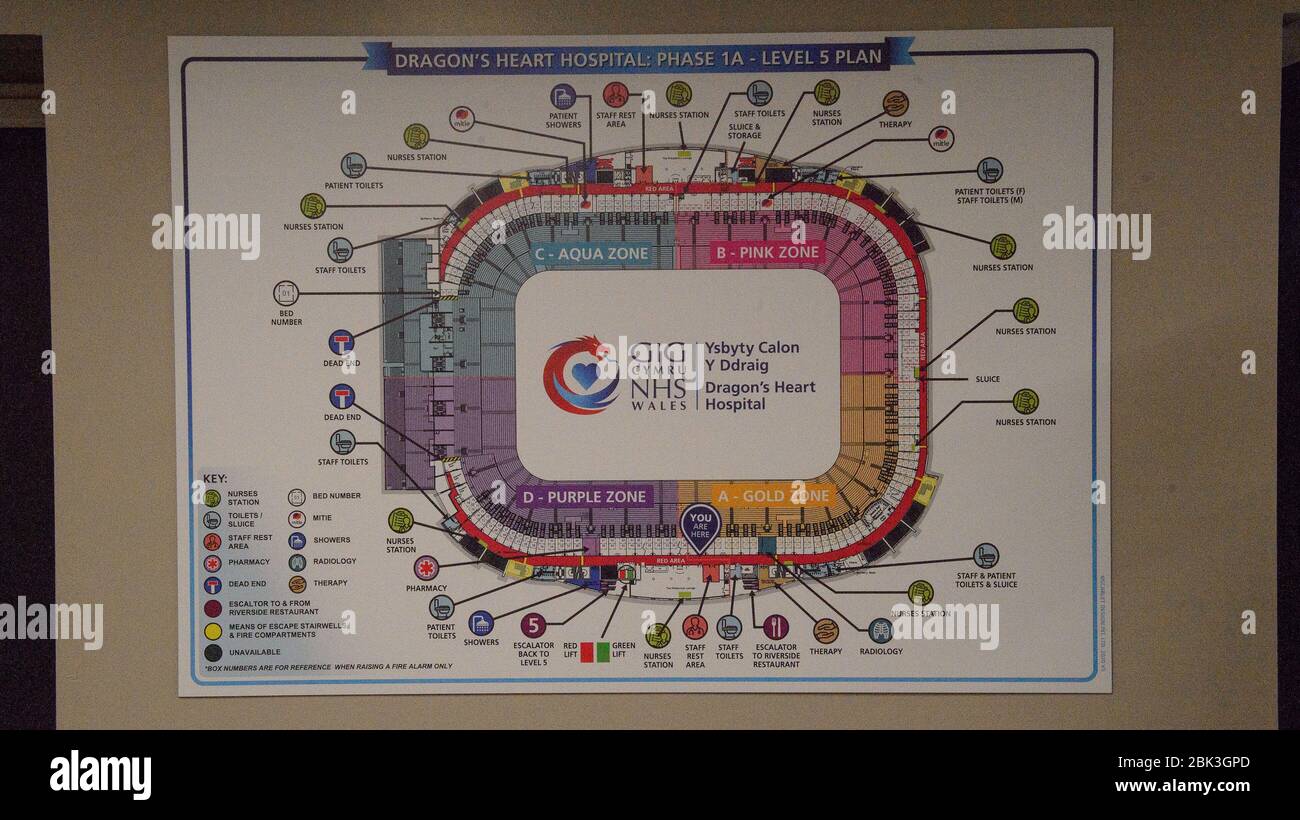 20.04.20 - Official opening of the Dragons Heart Hospital within the ...