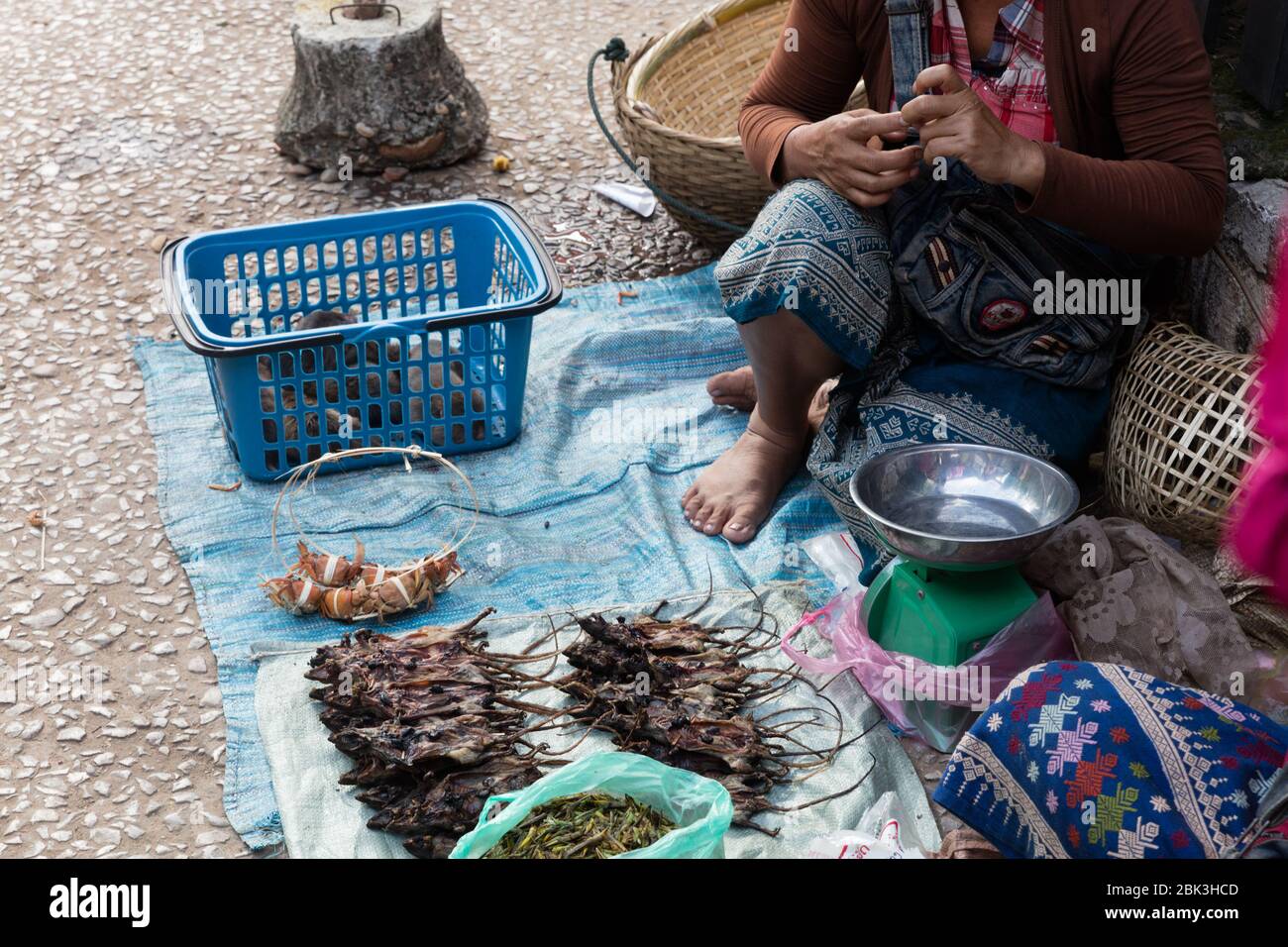 Roasted rats on Market, Luang Prabang, Laos Stock Photo - Alamy