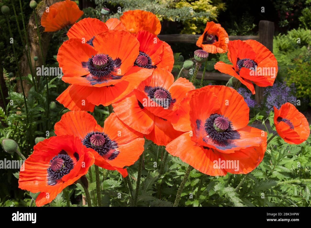 Triangle composition hi-res stock photography and images - Alamy