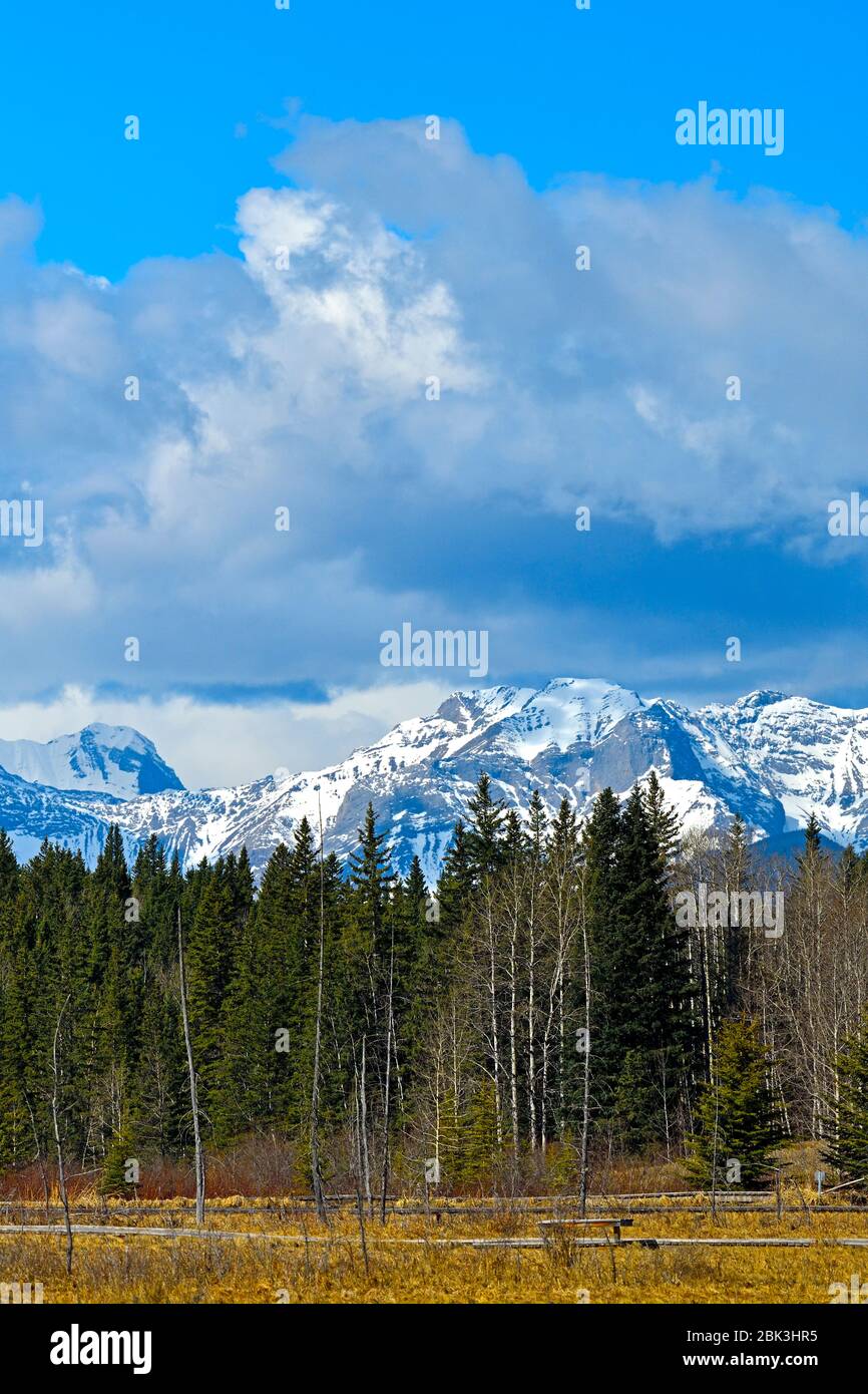 Canadian spring landscape hi-res stock photography and images - Alamy