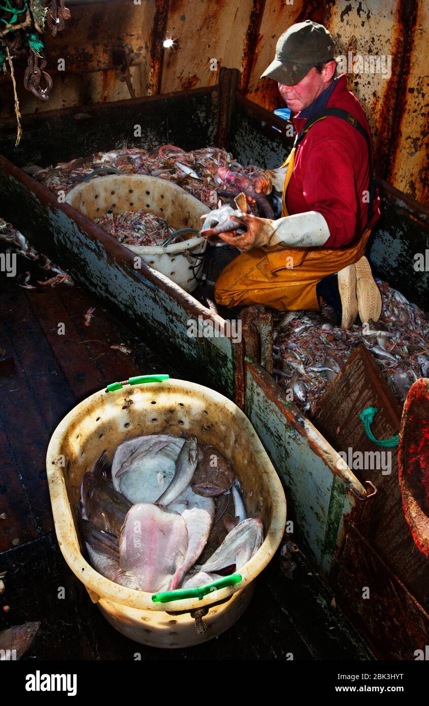 Trawlermen High Resolution Stock Photography and Images - Alamy
