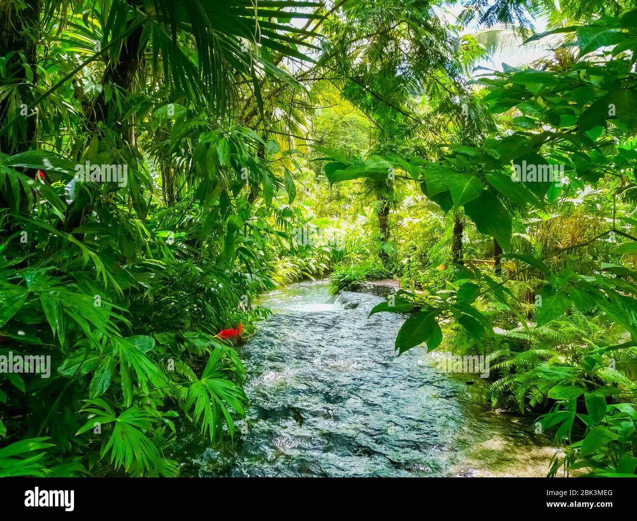 Tabacon Hot Springs River at Arenal Volcano, Alajuela, San Carlos ...