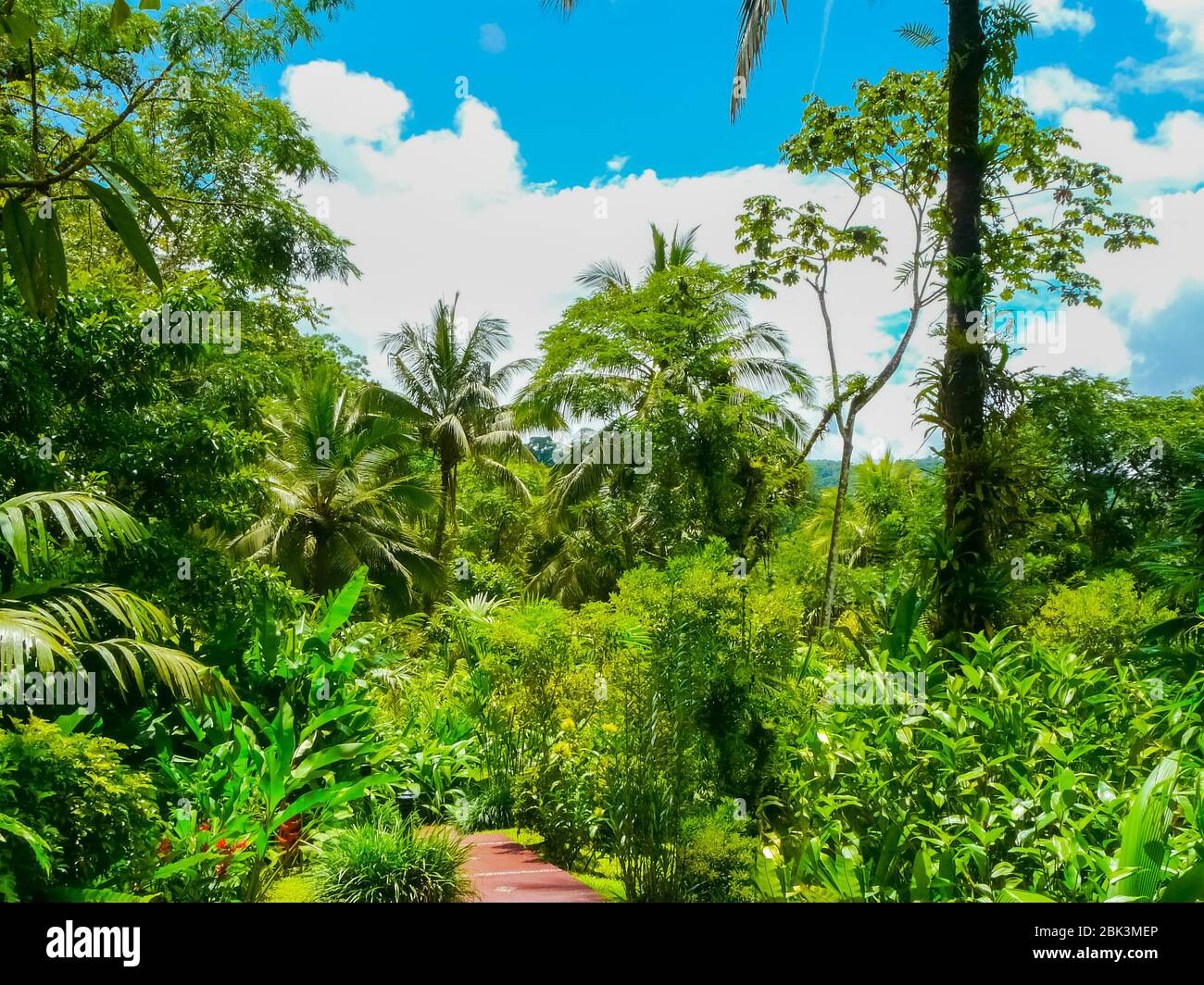 Tabacon Hot Springs River at Arenal Volcano, Alajuela, San Carlos ...
