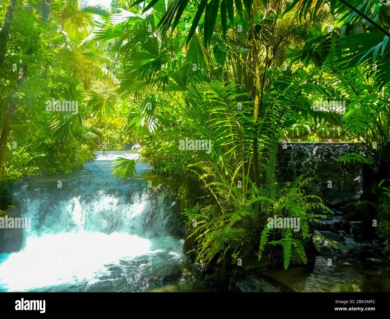 Arenal volcano costa rica hot springs hi-res stock photography and ...