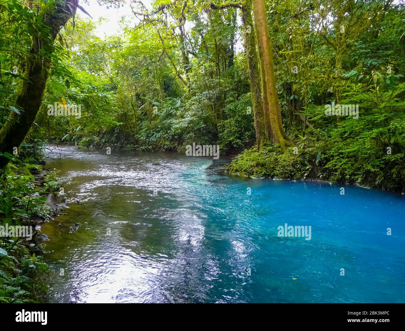 Rio Celeste, Tenorio volcano national park, Costa Rica Stock Photo - Alamy