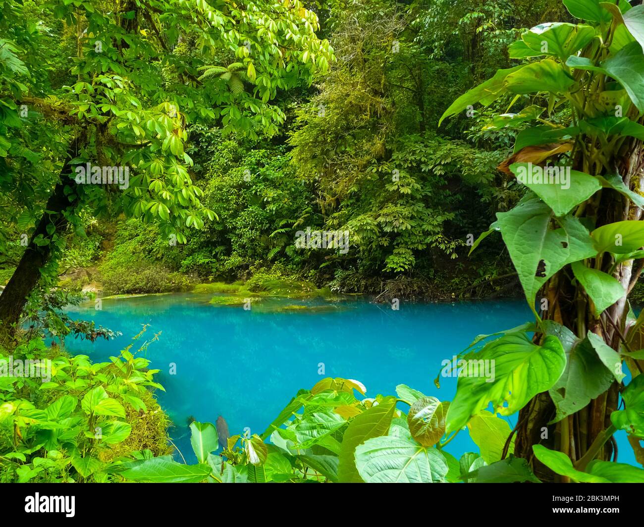 Rio Celeste, Tenorio volcano national park, Costa Rica Stock Photo - Alamy
