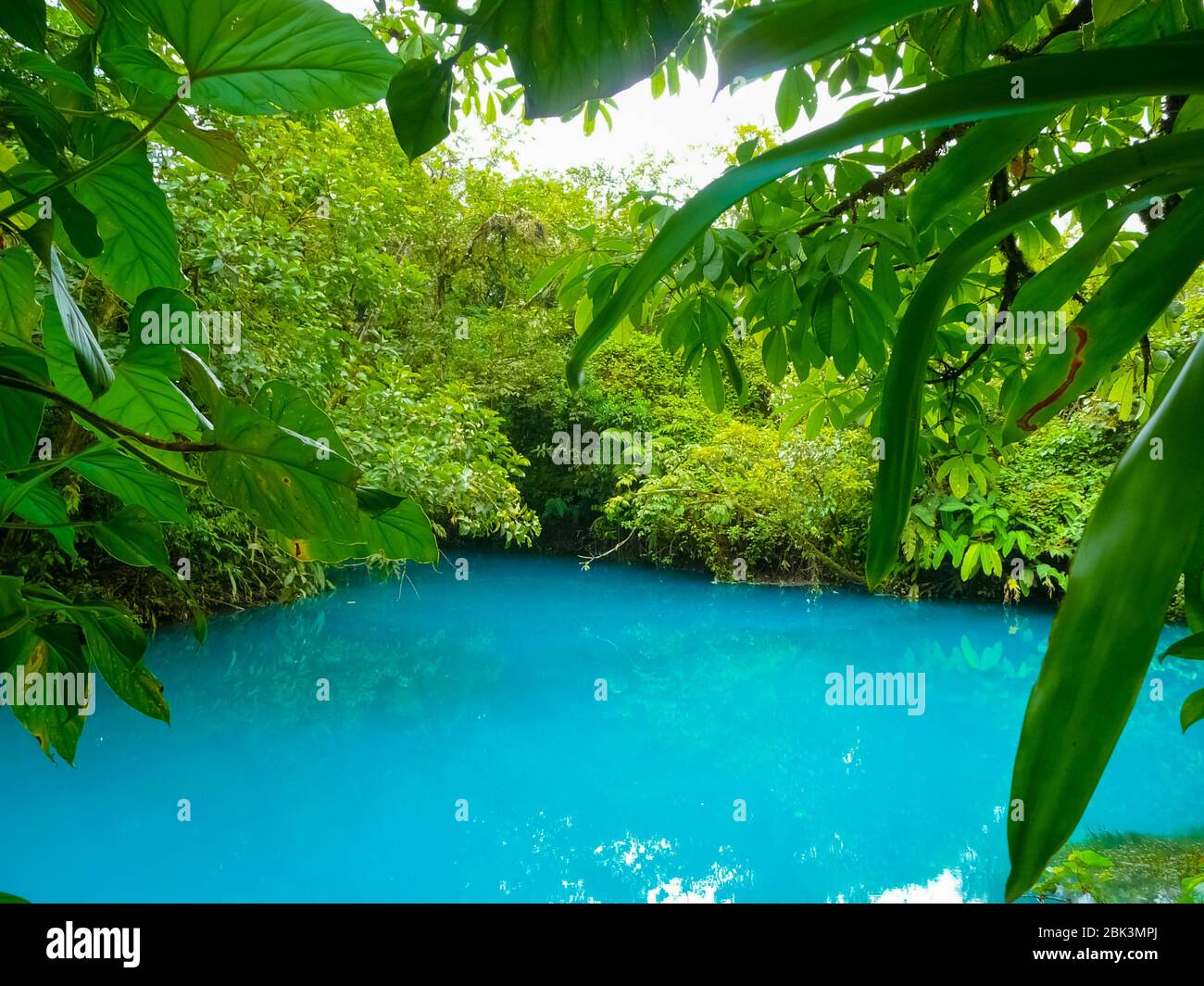 Rio Celeste, Tenorio volcano national park, Costa Rica Stock Photo - Alamy
