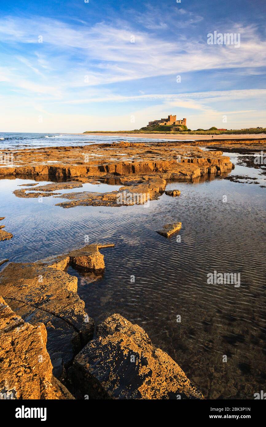 Bamburgh Castle across Harkess Rocks, Northumberland, England Stock ...