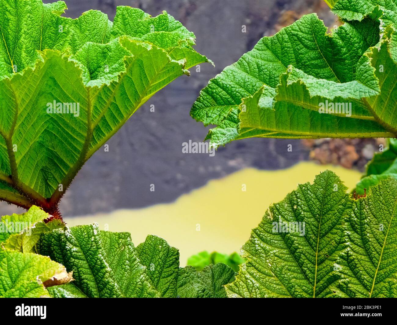Irazu volcano National Park, Cartago, Costa Rica Stock Photo - Alamy