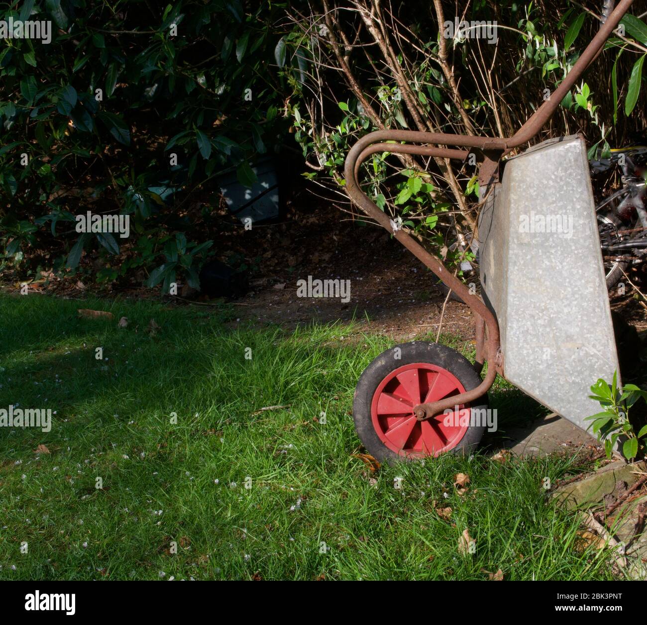 Garden wheelbarrow with red wheel standing on end beside grass lawn ...