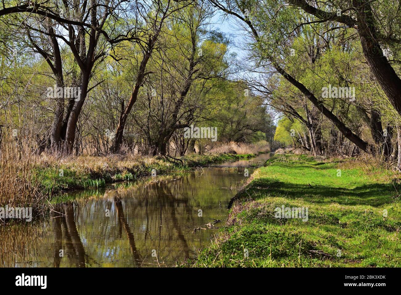 Spring landscape with stream in rural Hungary Stock Photo - Alamy