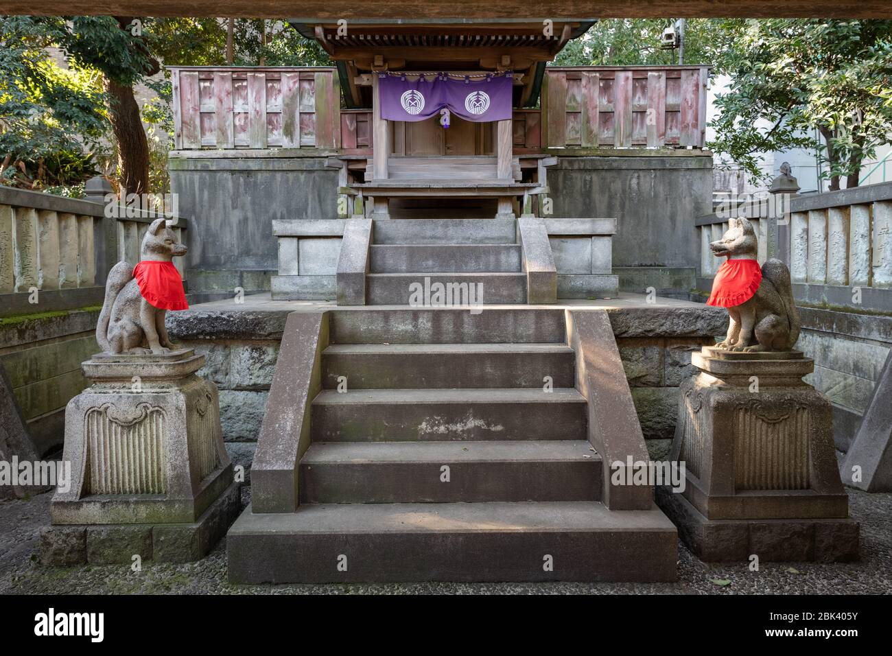 Sacred Dogs at Nezu Shrine, Tokyo, Japan Stock Photo - Alamy