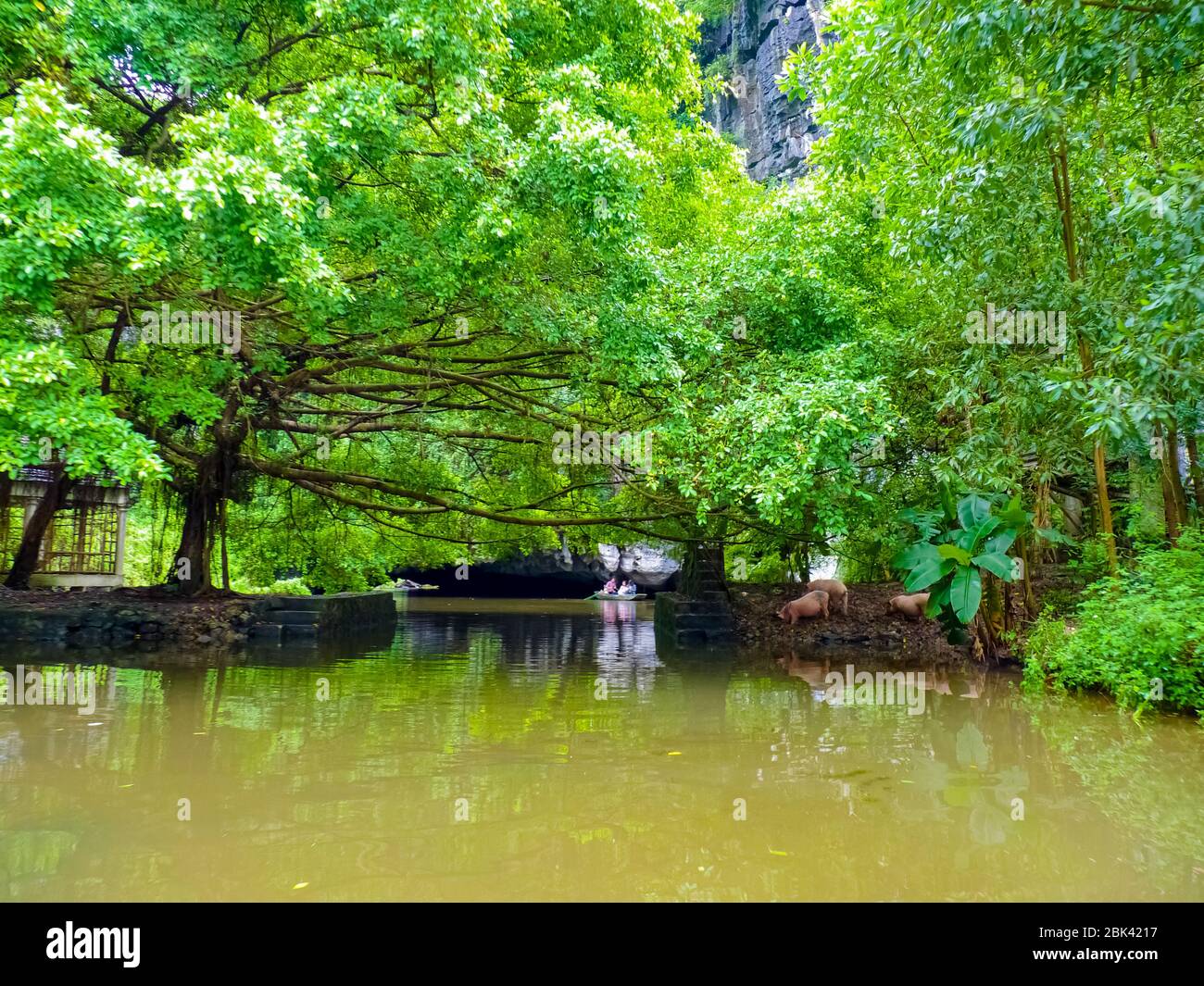 Quiet Ride On Peaceful Tam Coc River, Ninh Binh, Vietnam Stock Photo ...