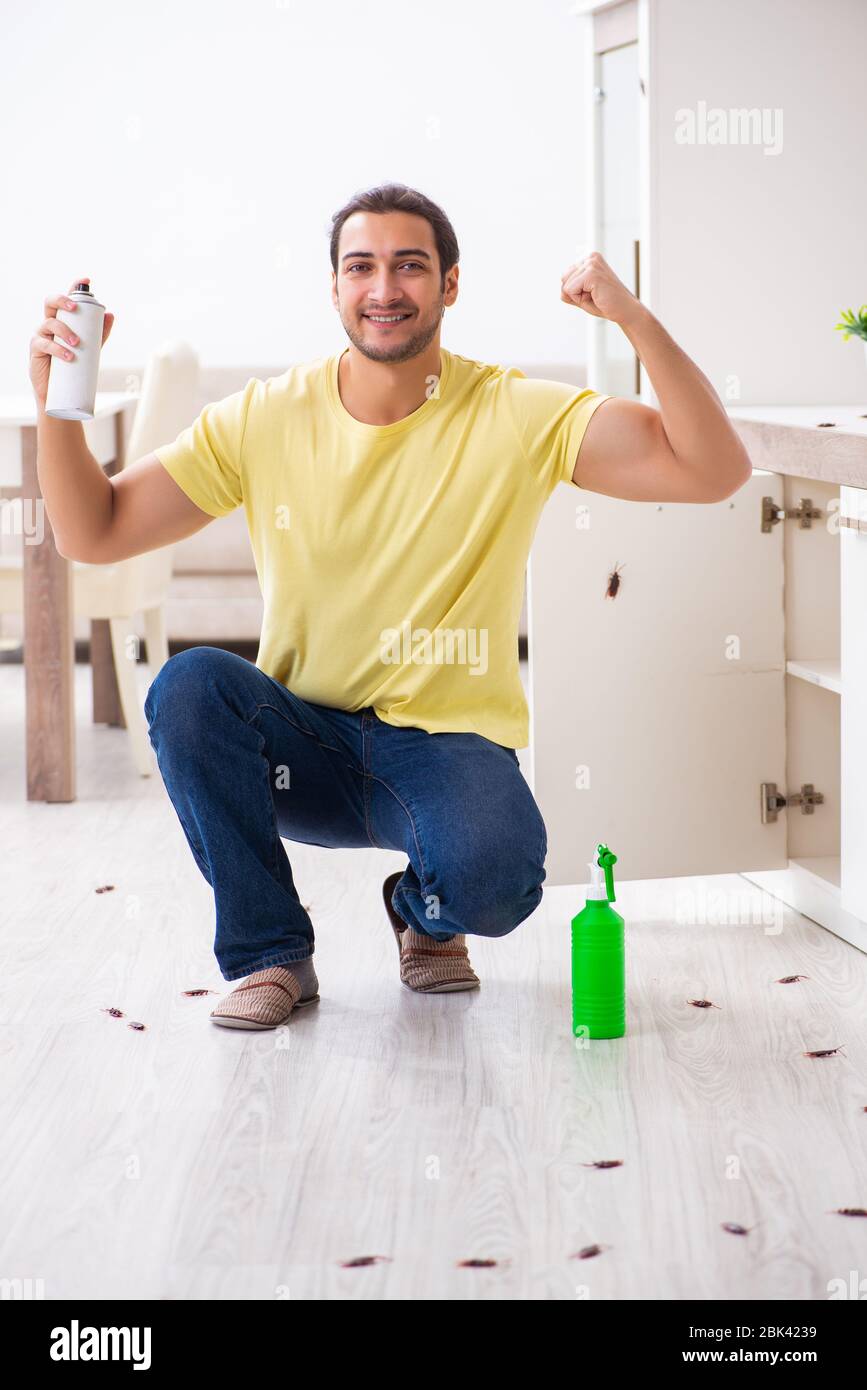 Young man and with lot of cockroaches at home Stock Photo - Alamy