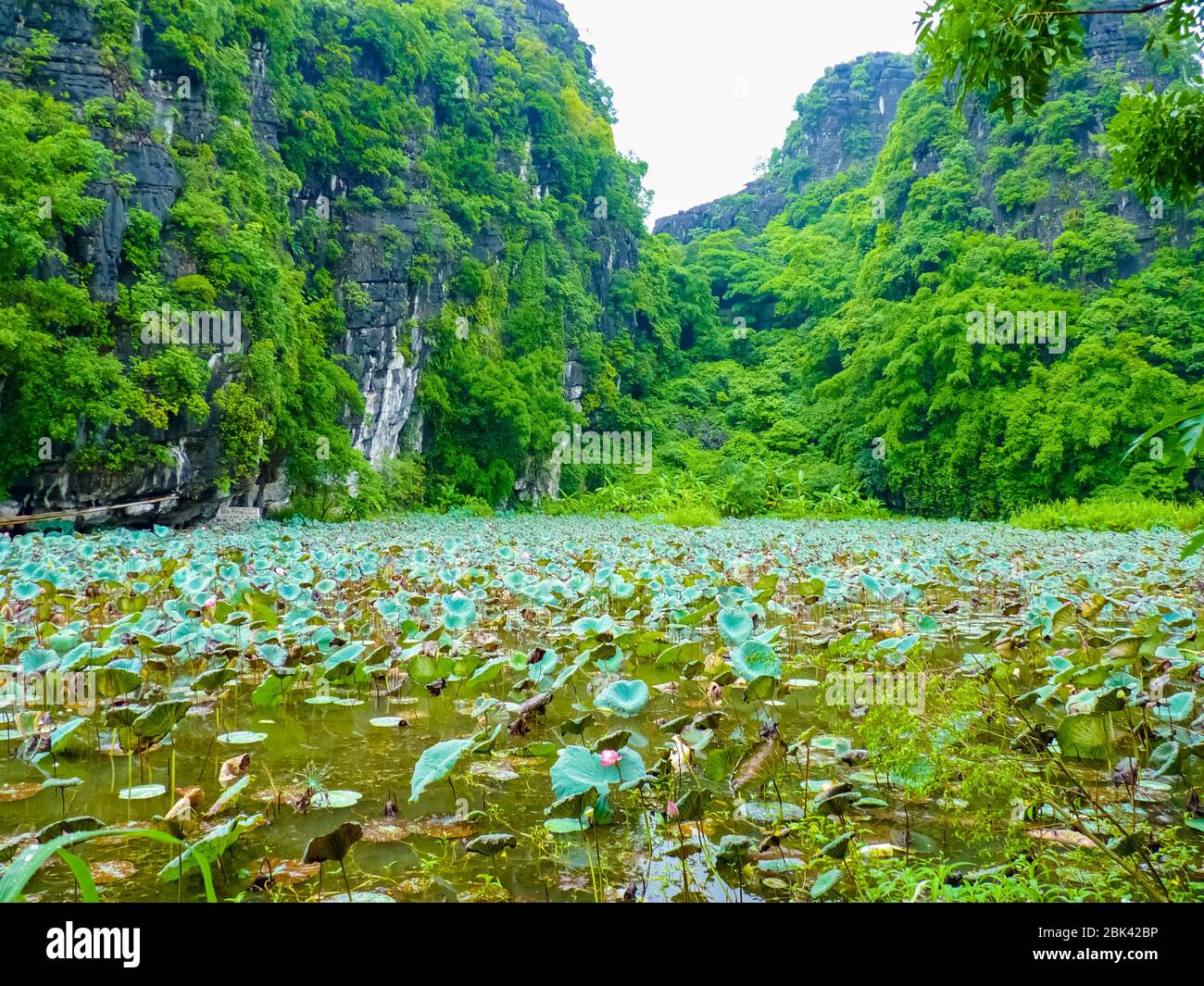 Quiet Ride On Peaceful Tam Coc River, Ninh Binh, Vietnam Stock Photo ...