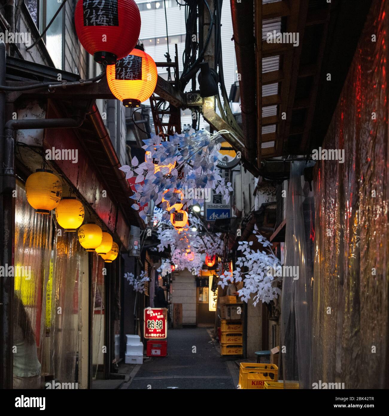 Narrow Streets and Bars, Golden Gai, Tokyo, Japan Stock Photo - Alamy