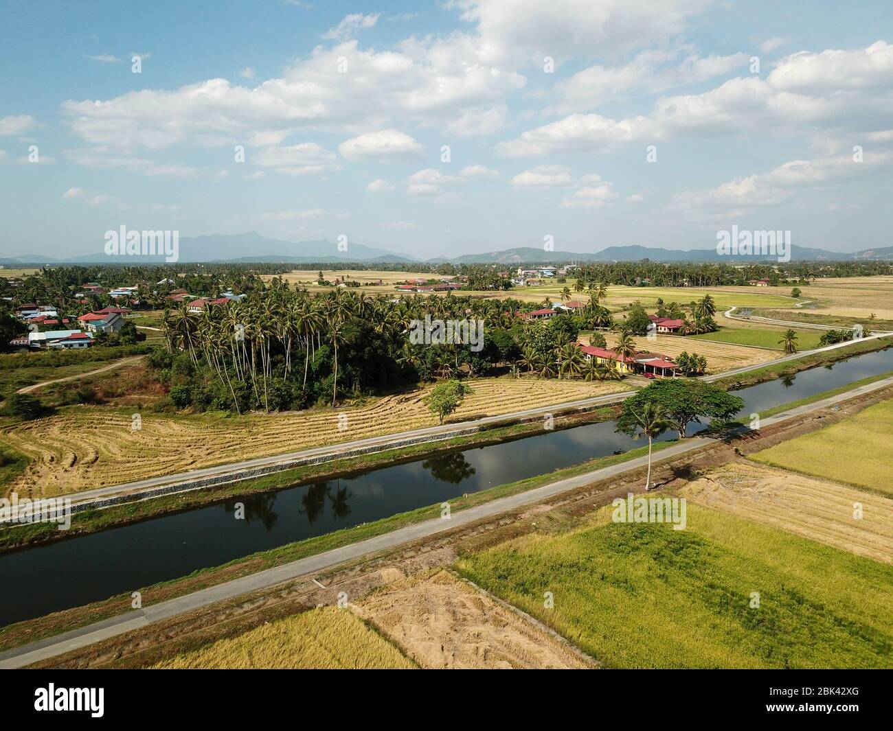 Penaga hi-res stock photography and images - Alamy