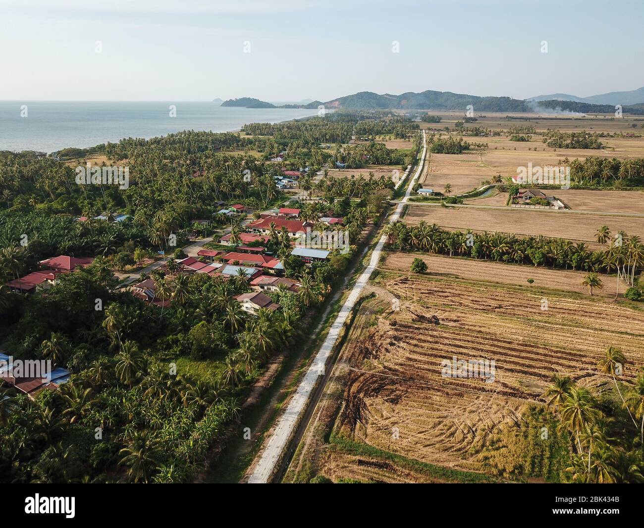 Harvested paddy field at Kuala Muda, Kedah Stock Photo - Alamy