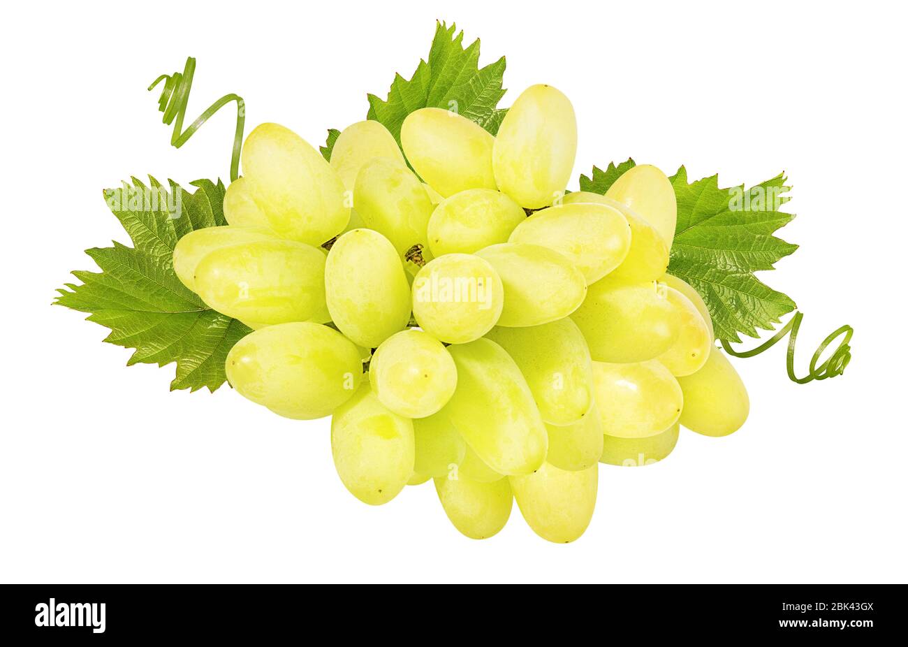 Fresh grapes isolated on white background Stock Photo - Alamy