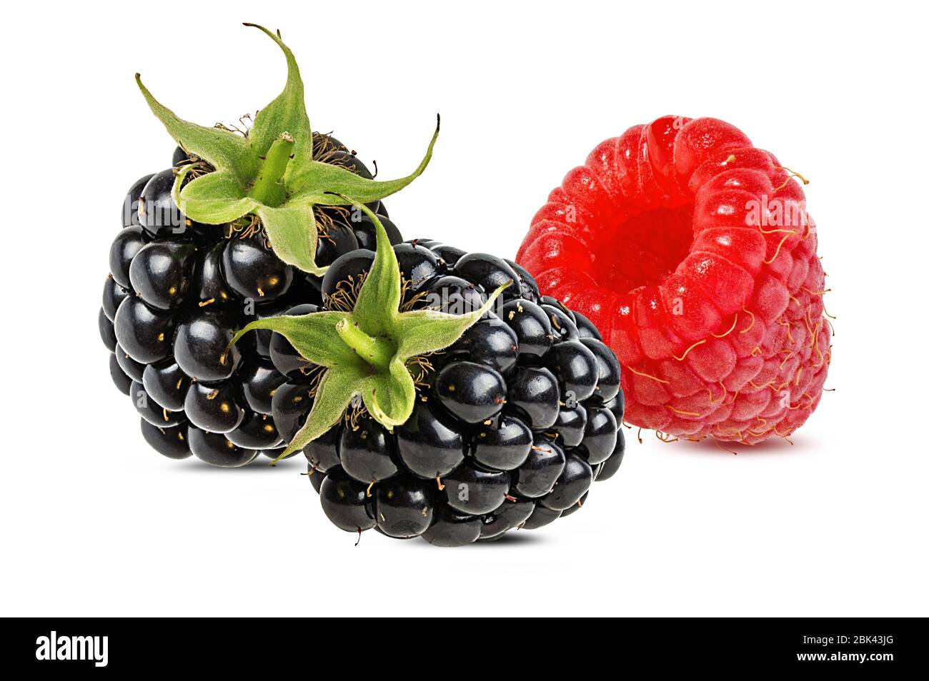 Blackberry and raspberry isolated on white background Stock Photo - Alamy