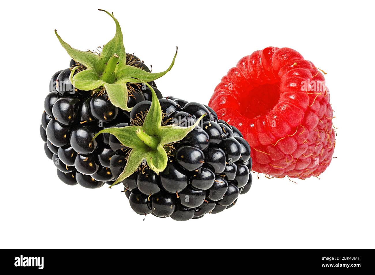 Blackberry and raspberry isolated on white background Stock Photo - Alamy
