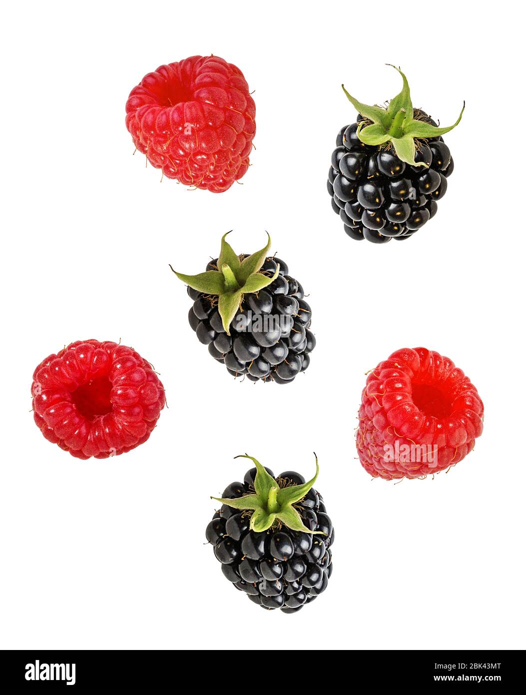 Blackberry and raspberry isolated on white background Stock Photo - Alamy