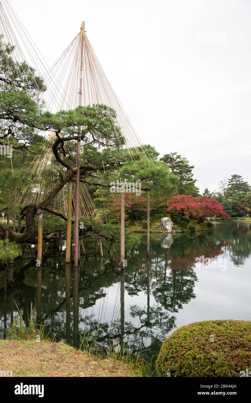 Fall at Kenrokuen in Ishikawa, Japan Stock Photo - Alamy
