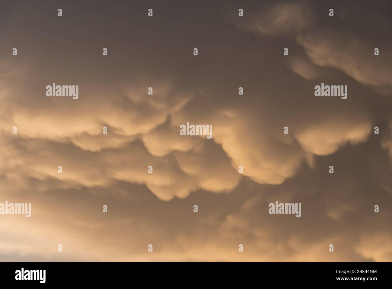 Mastodon cloud hi-res stock photography and images - Alamy