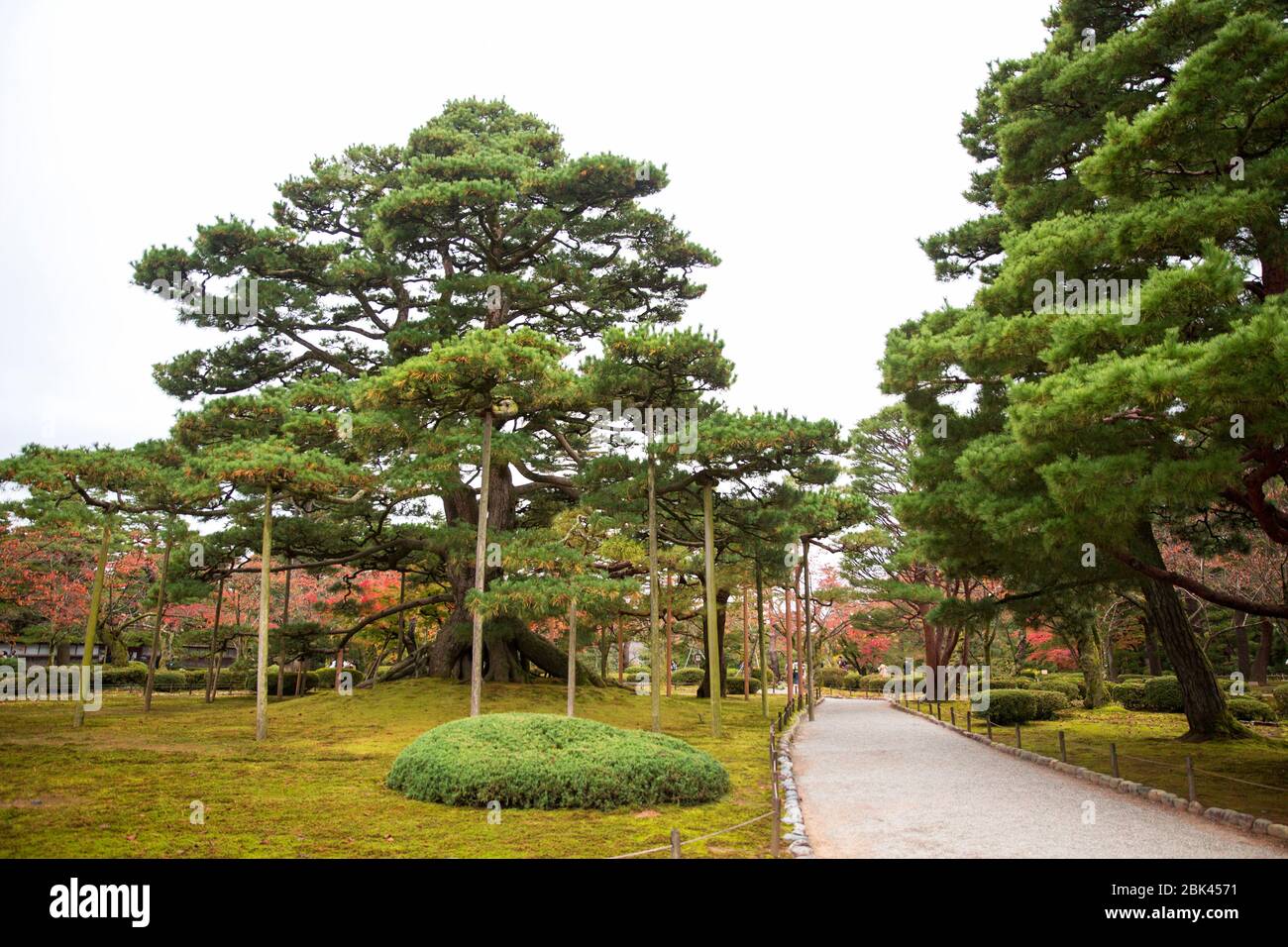 Fall at Kenrokuen in Ishikawa, Japan Stock Photo - Alamy