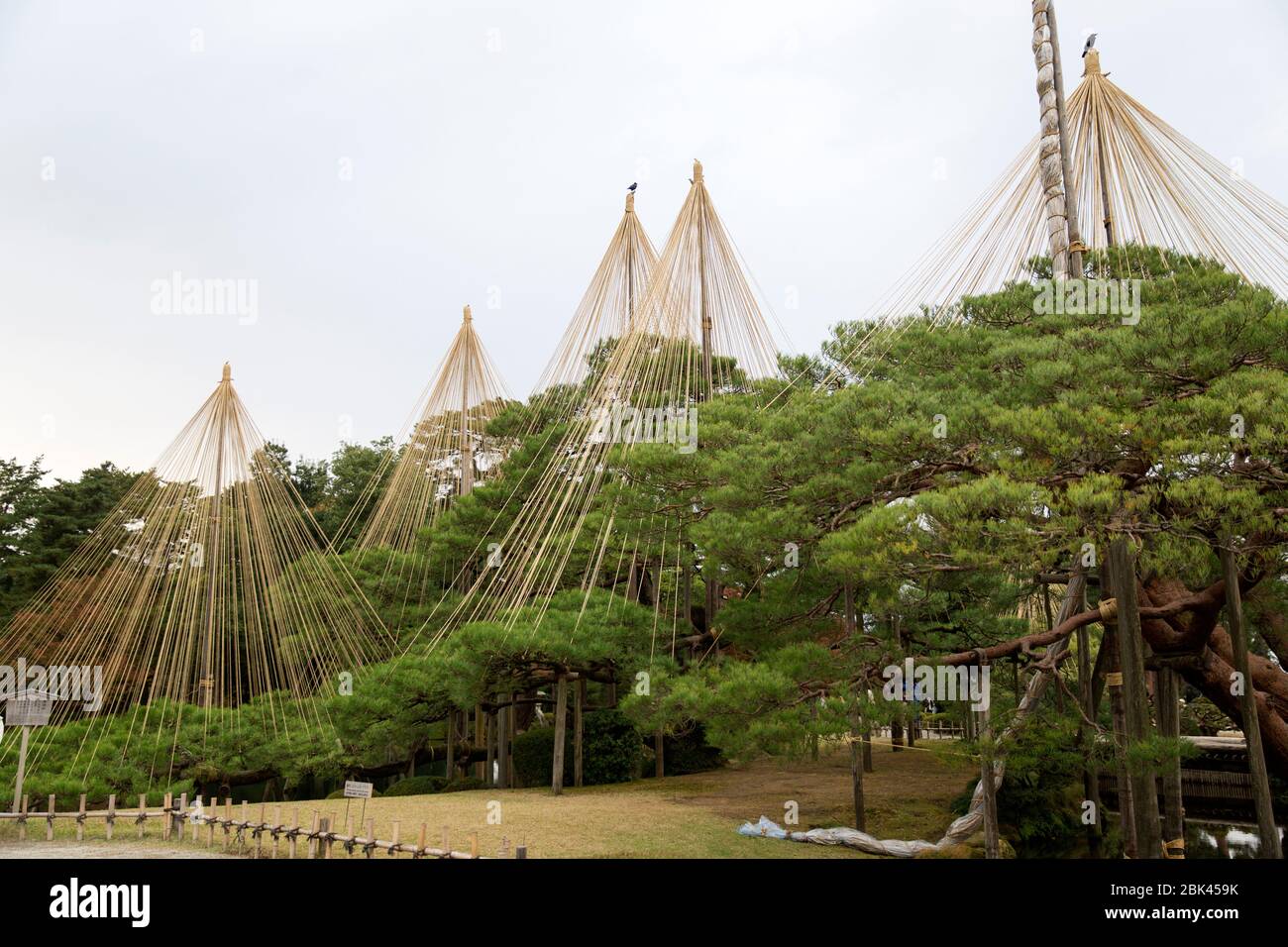 Fall at Kenrokuen in Ishikawa, Japan Stock Photo - Alamy