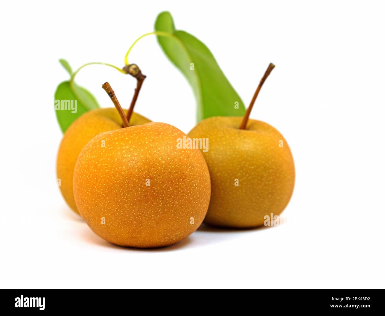 Nashi pears, Pyrus pyrifolia, isolated against white background Stock ...
