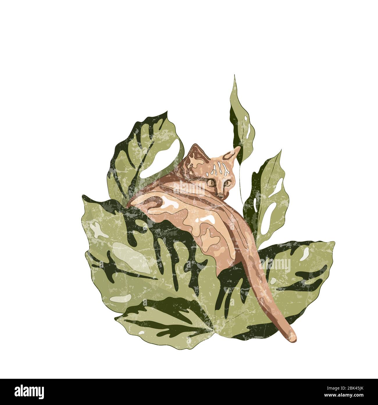Tropical leaves and the cat / vector illustration, white texture Stock ...