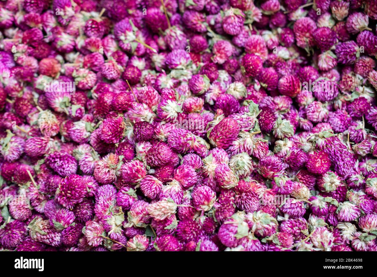 Dried flower background. Many rflowers for herbal tea cure Stock Photo ...