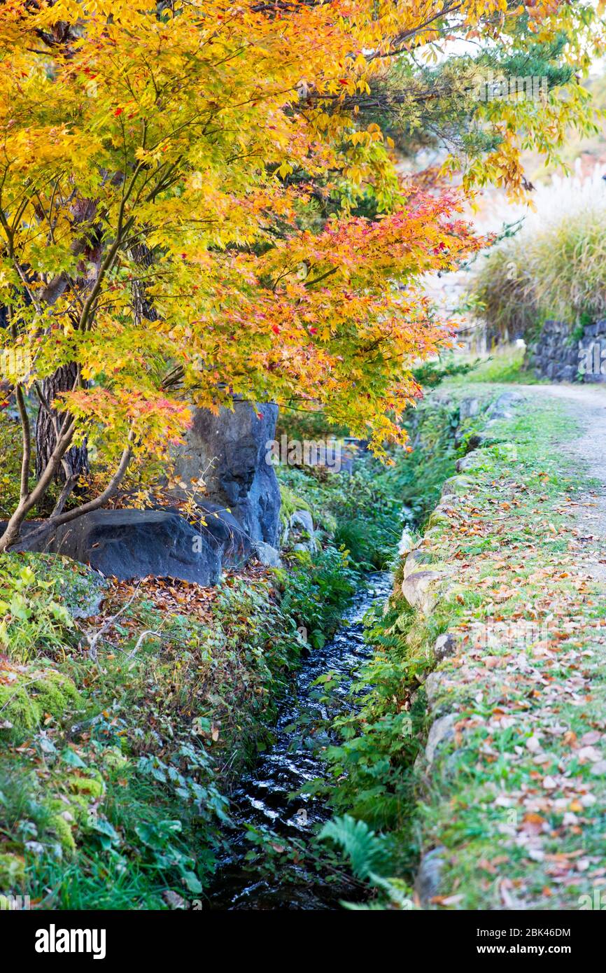 Beautiful fall scene in Japan Stock Photo - Alamy