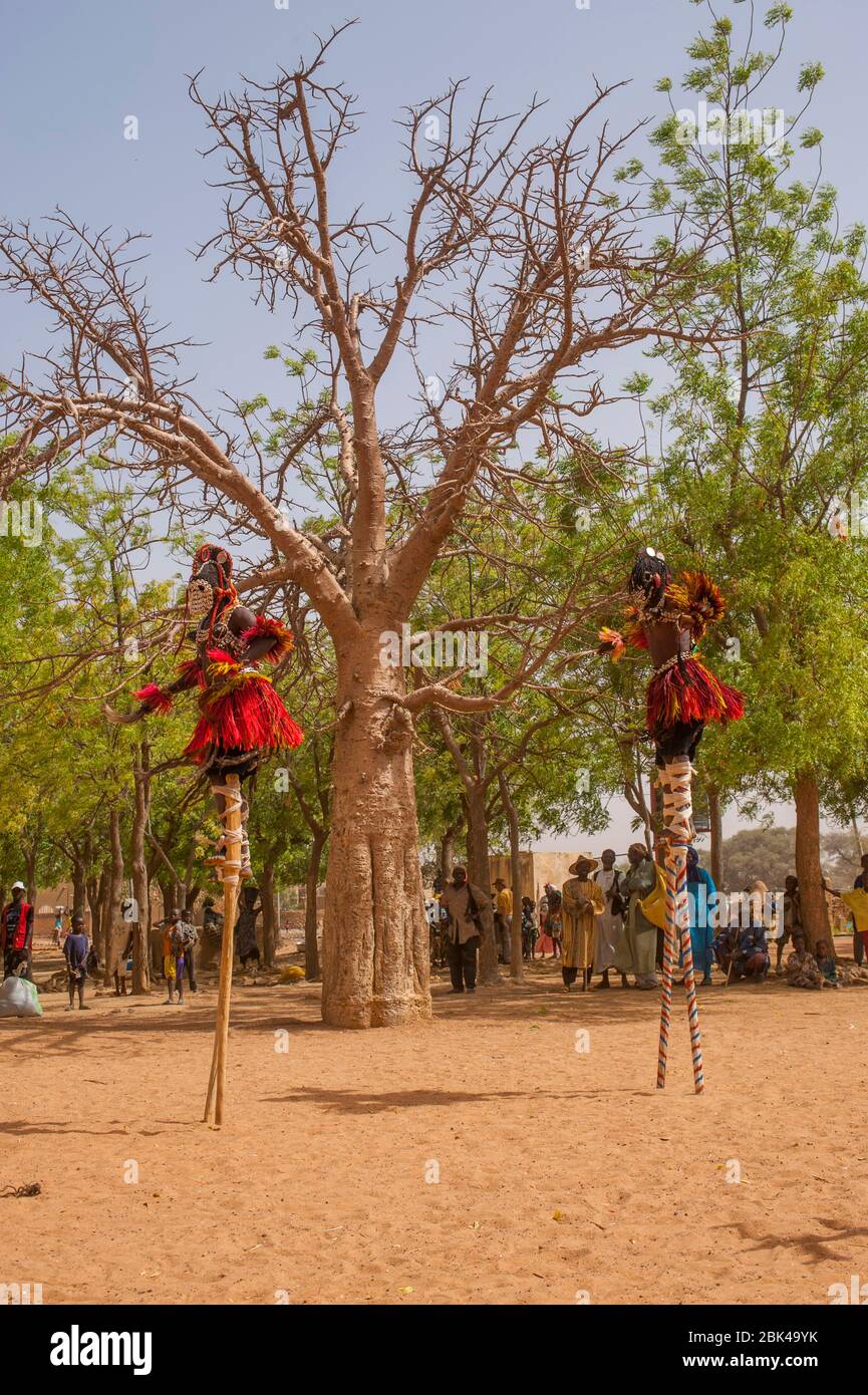 Traditional dances of the Dogon people in the village of Sangha in the ...